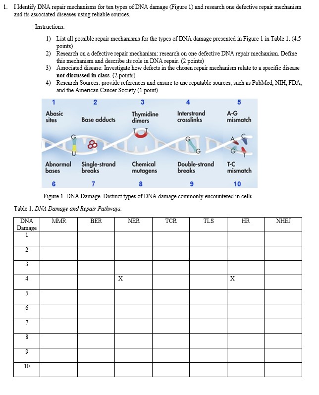 Solved 1. ﻿Identify DNA repair mechanisms for ten types of | Chegg.com
