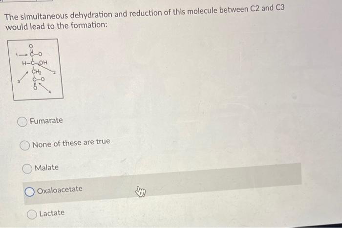 Solved If C1 of the molecule shown is radiolabelled and goes | Chegg.com