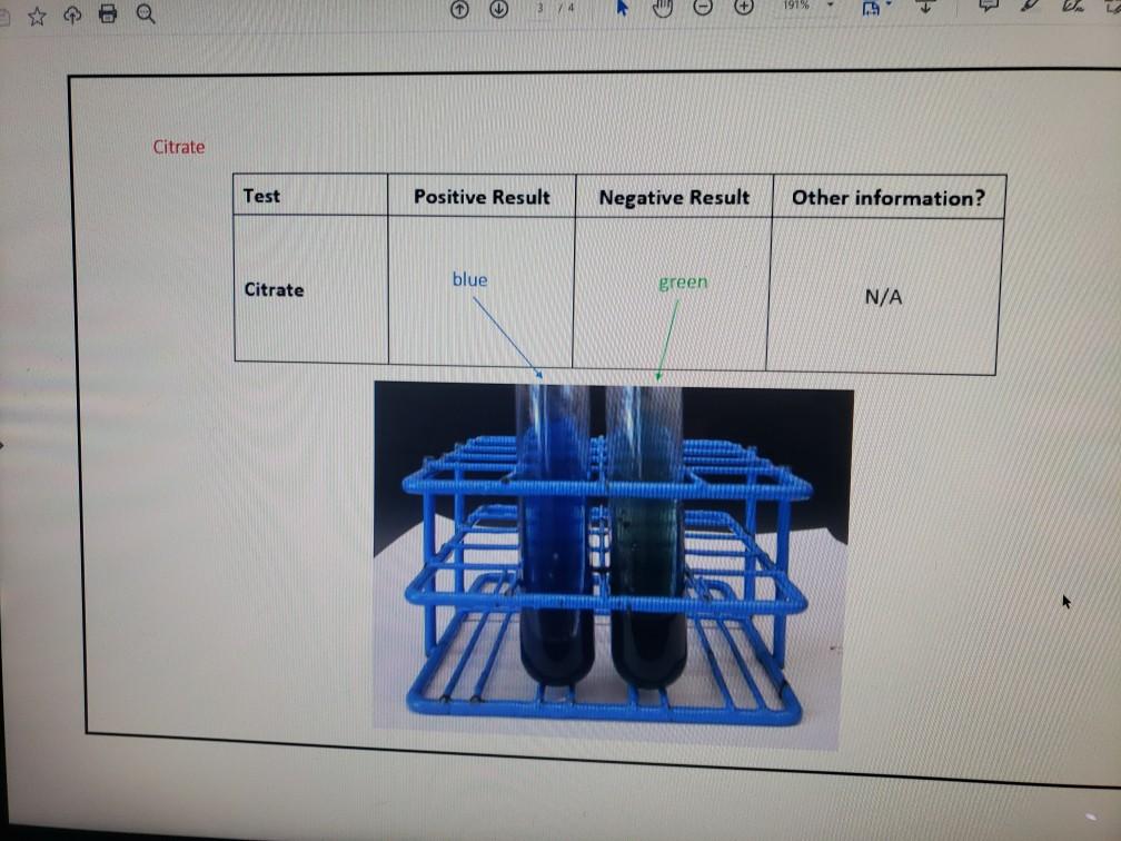 Solved BIOL&260 Microbiology Lab 10 Assignment Lab 10: | Chegg.com