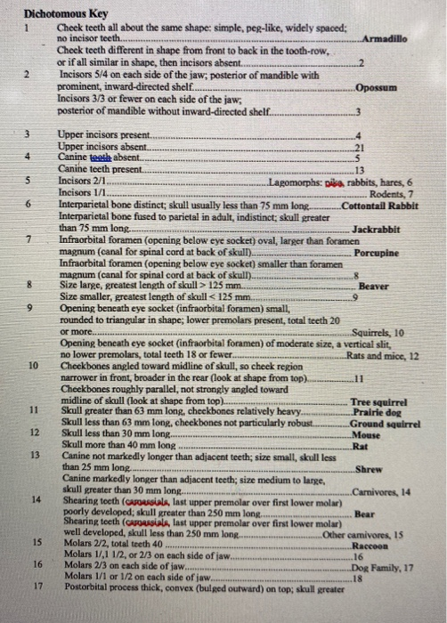 1 Dichotomous Key Check teeth all about the same | Chegg.com
