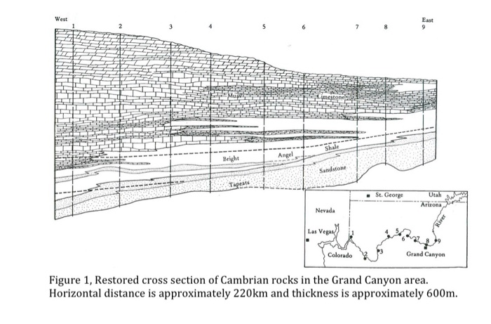 Solved 9) By what media do you think deposited the | Chegg.com