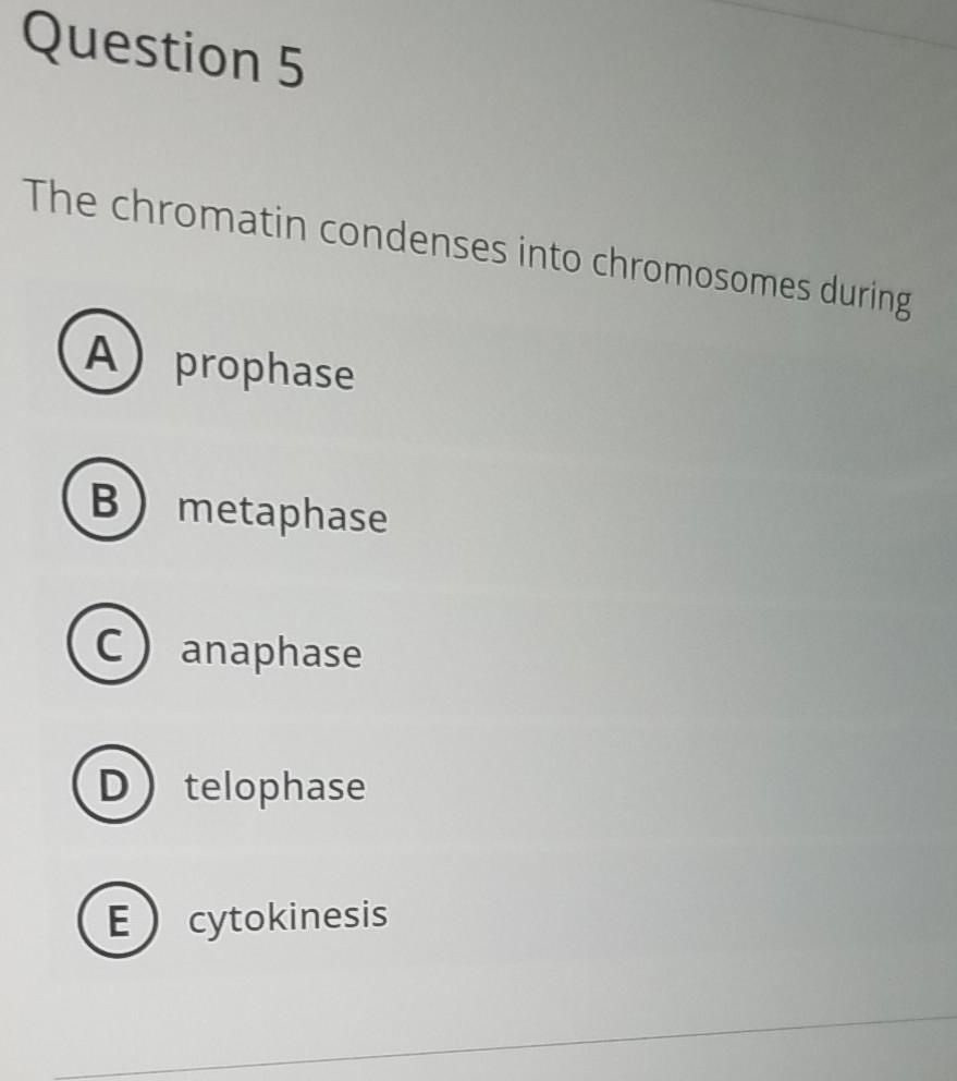 Solved tion 6 The finger like projections in the dermal | Chegg.com