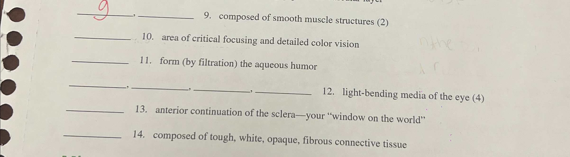 Solved q, 9. ﻿composed of smooth muscle structures (2) 10. | Chegg.com