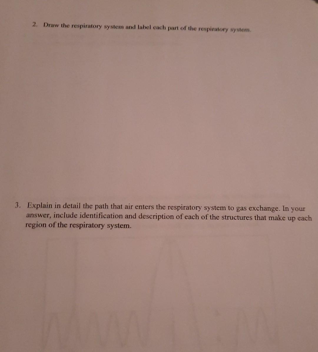Solved 2. Draw the respiratory system and label each part of | Chegg.com