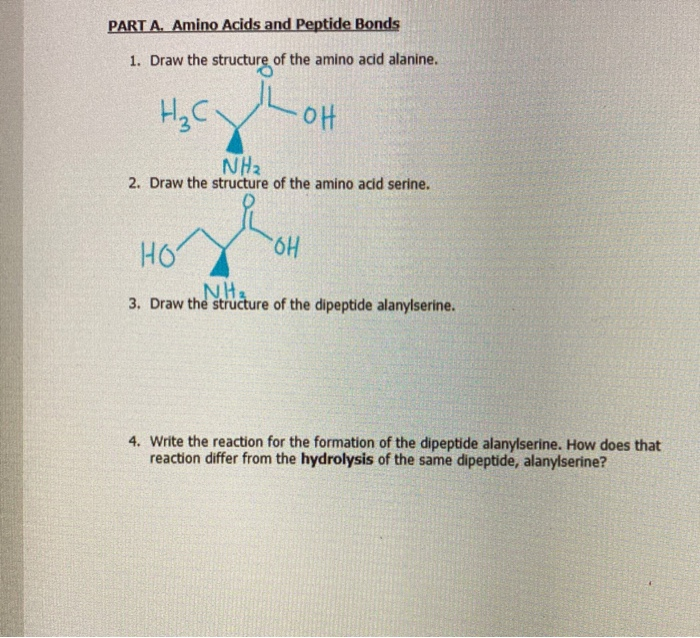 Solved PART A. Amino Acids and Peptide Bonds 1. Draw the | Chegg.com