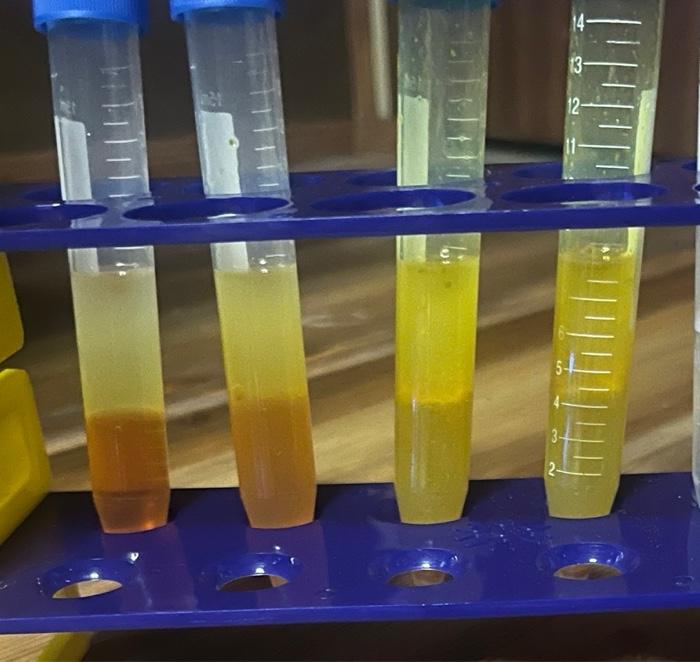 for each test tube, describe whether you were able to | Chegg.com