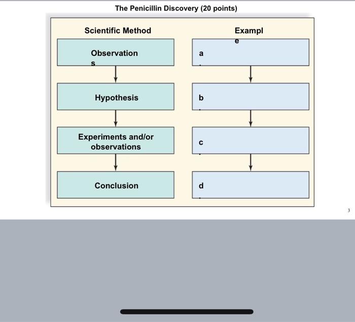 Solved The Penicillin Discovery (20 points) Scientific | Chegg.com
