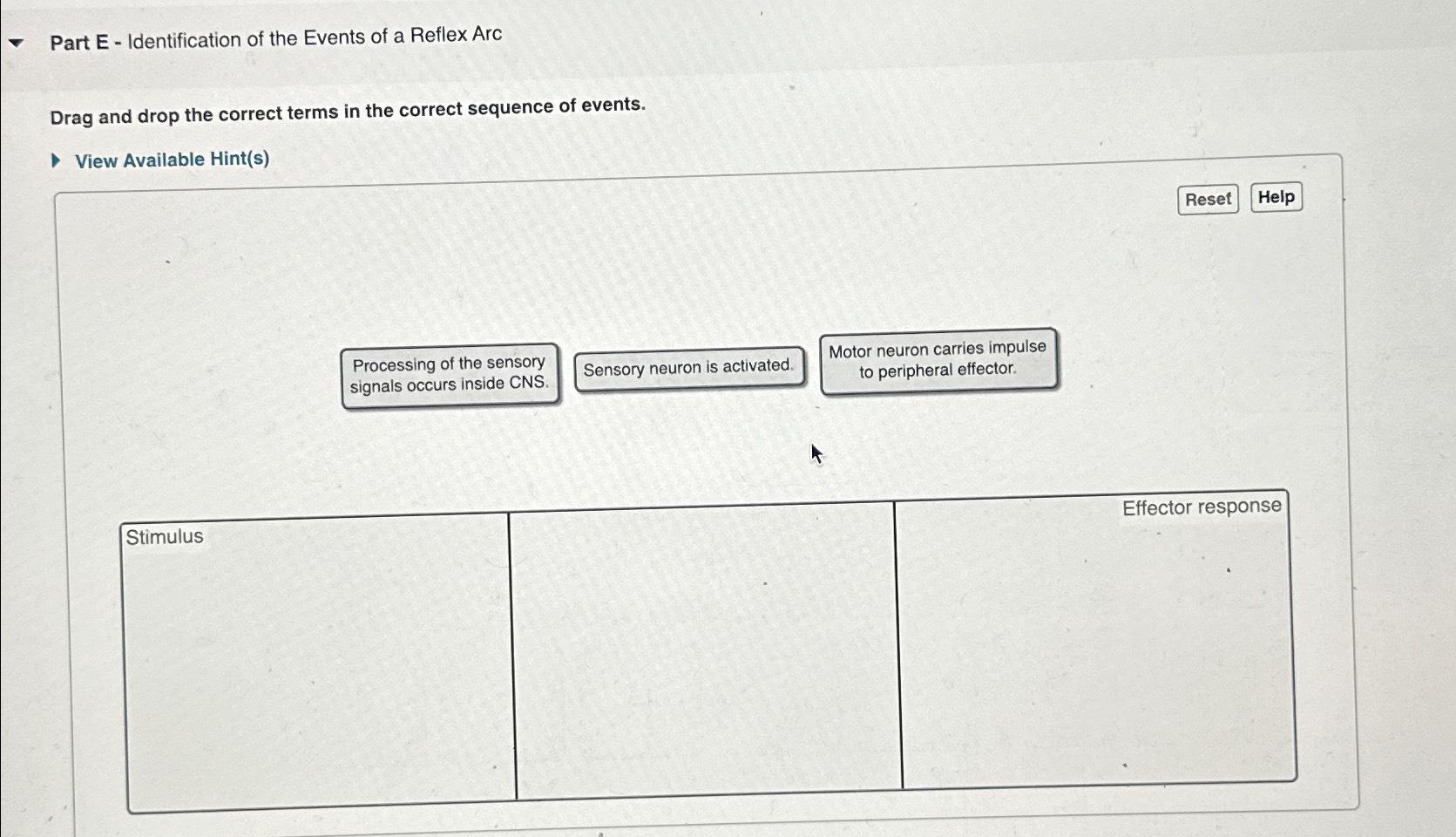 Solved Part E - ﻿Identification of the Events of a Reflex | Chegg.com
