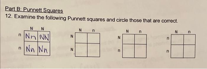 [Solved]: please help Part B: Punnett Squares 12. Examine th