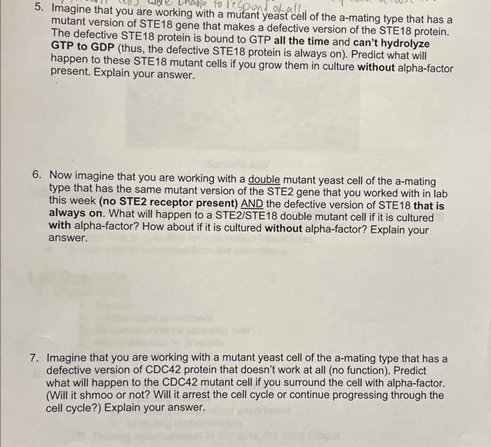 Solved 5. Imagine that you are working with a mutant yeast | Chegg.com