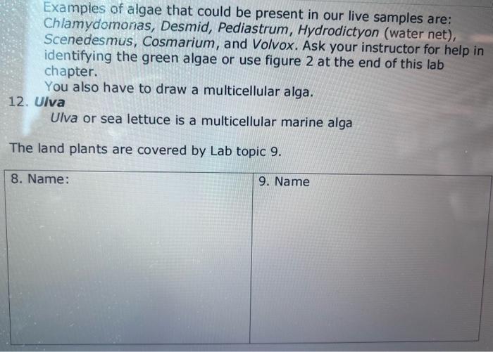 Solved Rhizarians are unicellular heterotrophic protists | Chegg.com