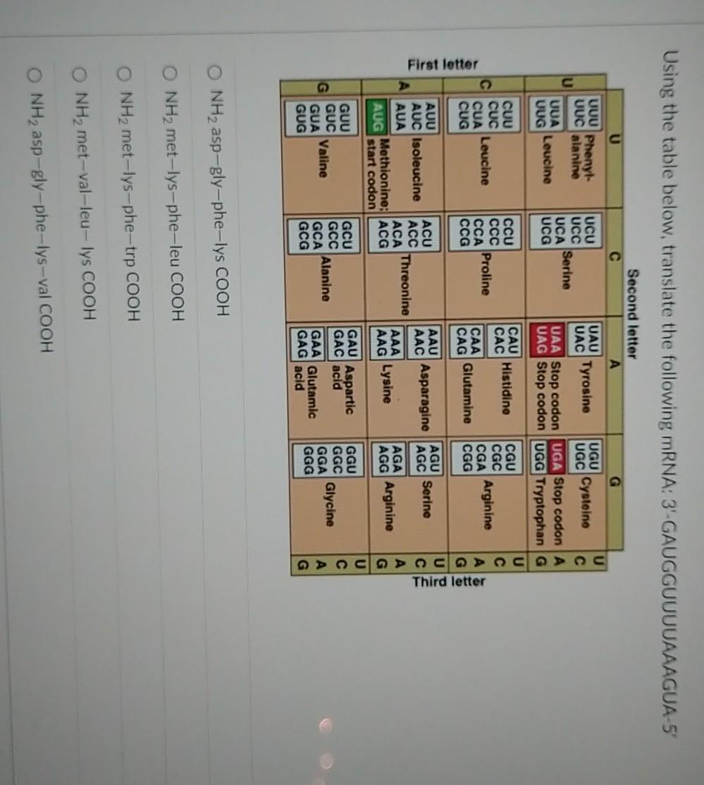 Solved Using The Table Below Translate The Following Mrna
