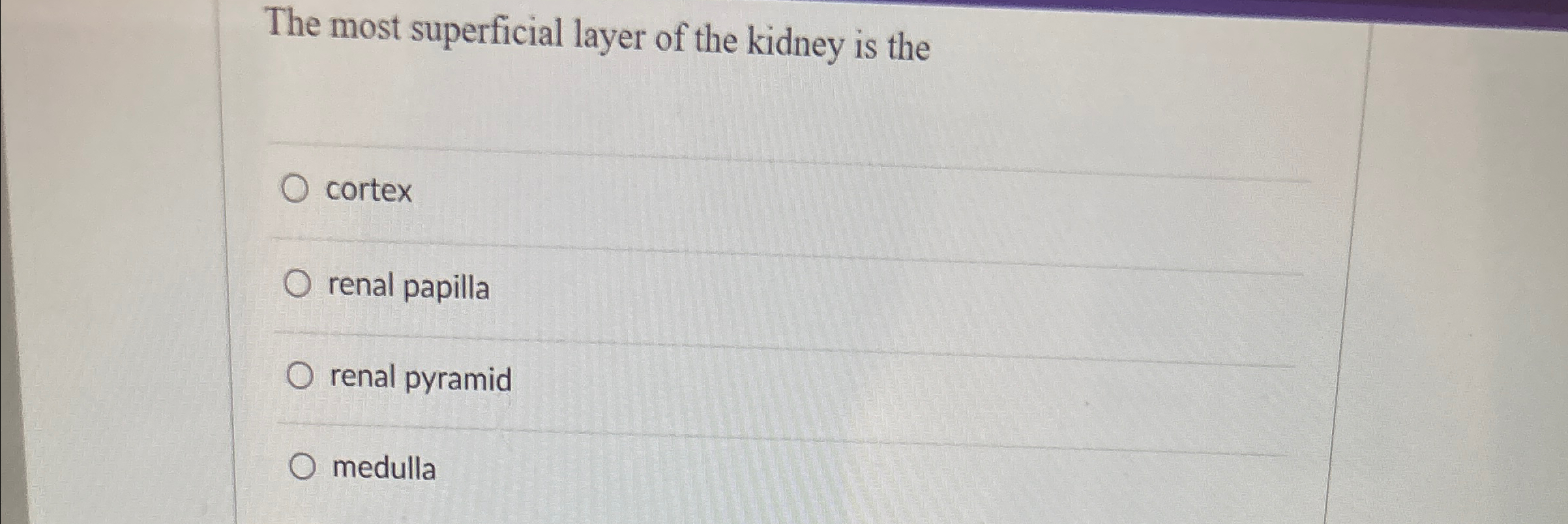 Solved The most superficial layer of the kidney is | Chegg.com