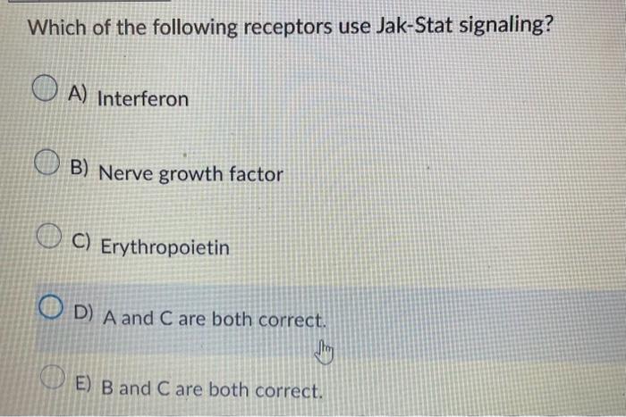 Solved Stat activation: A) Involves phosphorylation of | Chegg.com