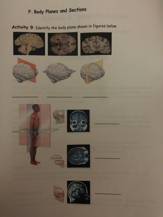 Solved Activity 8: Properly fill in the name of the Body | Chegg.com