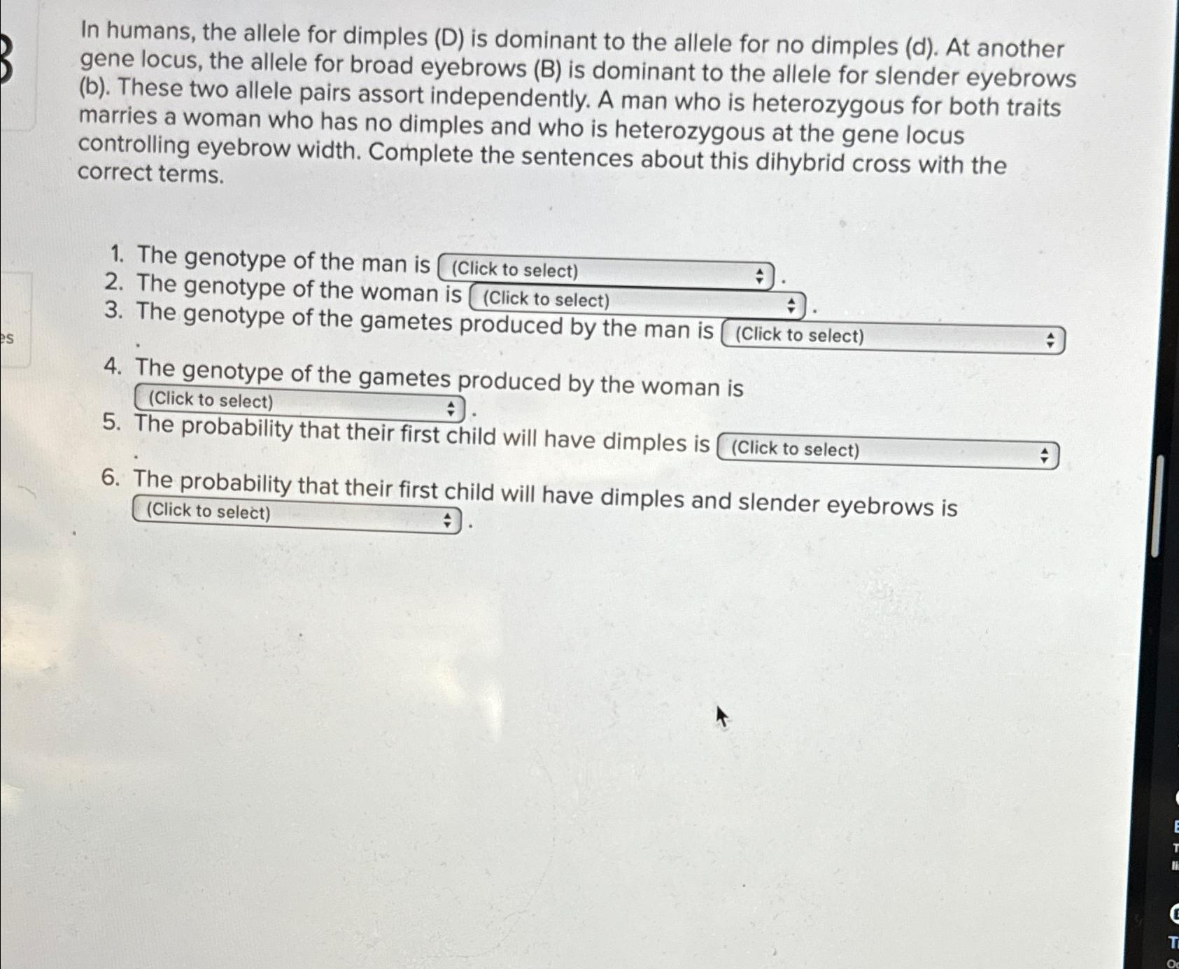 Solved In humans, the allele for dimples (D) ﻿is dominant to | Chegg.com