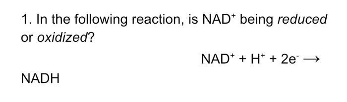 Solved 1. In the following reaction, is NAD+being reduced or | Chegg.com