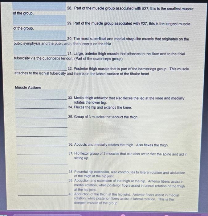 Solved Use the word bank below to identily each muscle based | Chegg.com