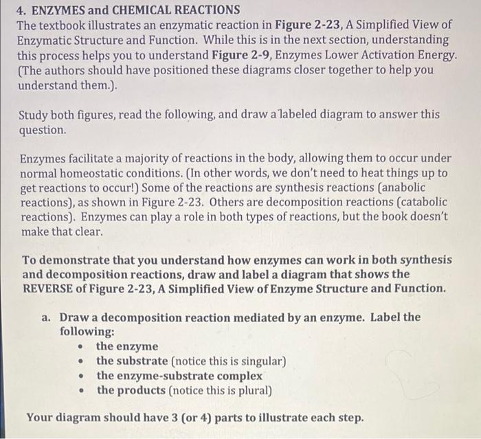 Solved 4. ENZYMES and CHEMICAL REACTIONS The textbook | Chegg.com