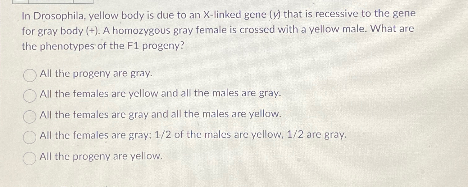 Solved In Drosophila, yellow body is due to an X-linked gene | Chegg.com