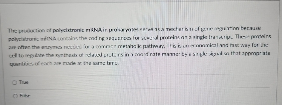Solved The production of polycistronic mRNA in prokaryotes | Chegg.com