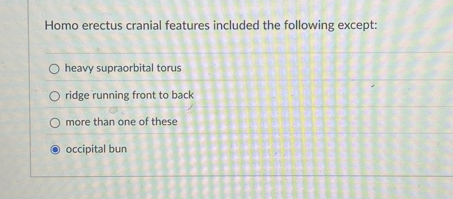 Solved Homo erectus cranial features included the following | Chegg.com