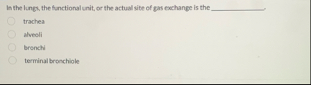 Solved In the lungs, the functional unit, or the actual site | Chegg.com