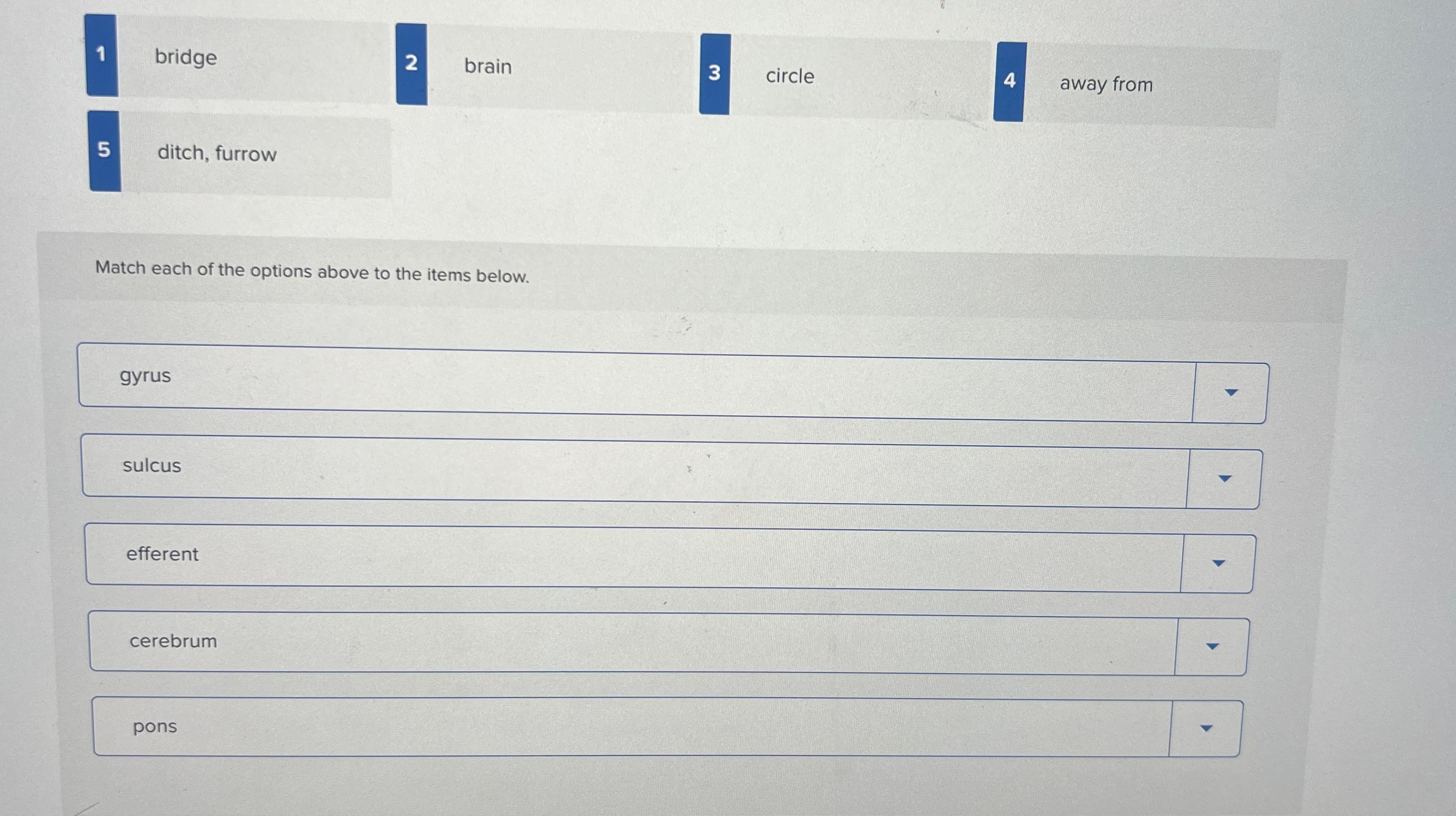 Solved 1 ﻿bridge2 ﻿brain3 ﻿circle4 ﻿away from5 ﻿ditch, | Chegg.com