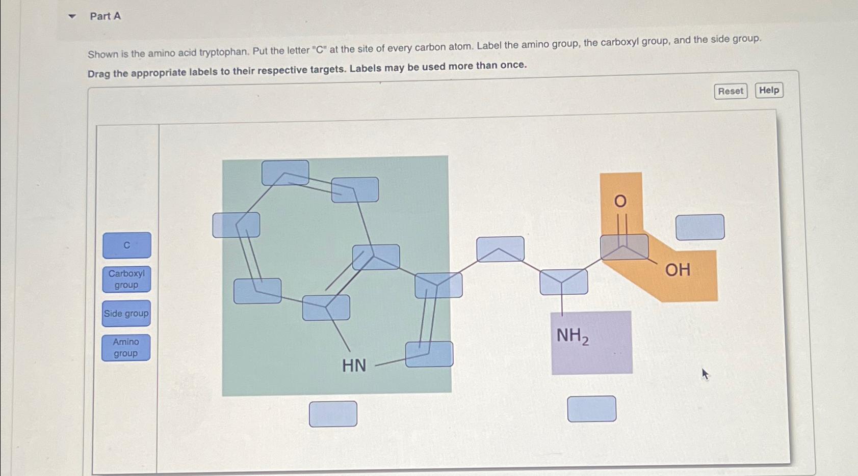 Solved Part AShown is the amino acid tryptophan. Put the | Chegg.com