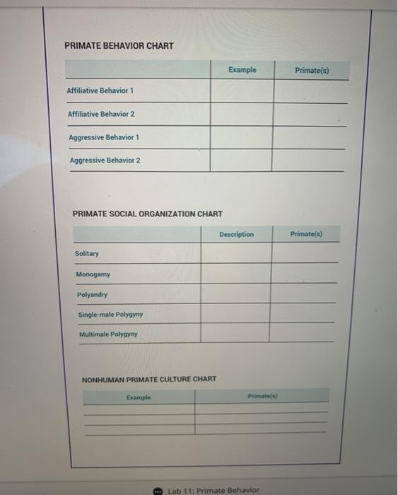 Solved PRIMATE BEHAVIOR CHART Example Primate(s) Affiliative | Chegg.com