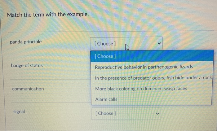 Solved Match the term with the example. panda principle | Chegg.com