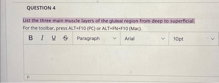 Solved List the three main muscle layers of the gluteal | Chegg.com