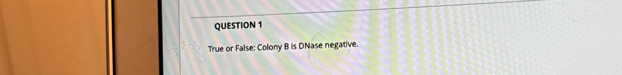 Solved QUESTION 1True or False: Colony B is DNase negative. | Chegg.com