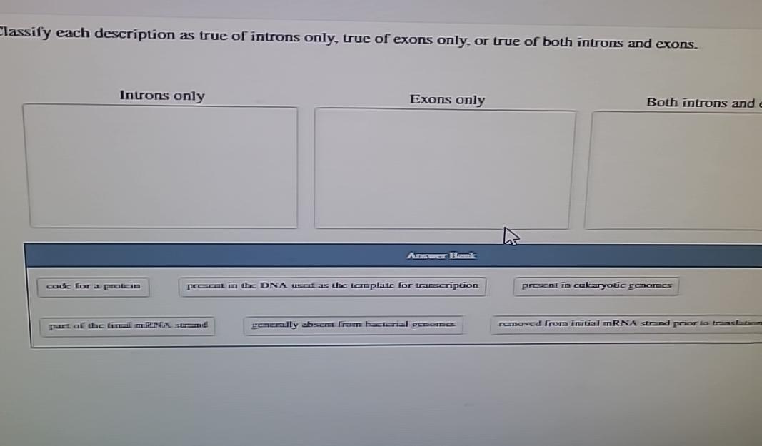 Solved Classify each description as true of introns only, | Chegg.com