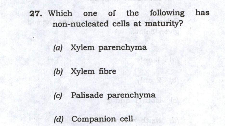 Solved Which one of the following has non-nucleated cells at | Chegg.com
