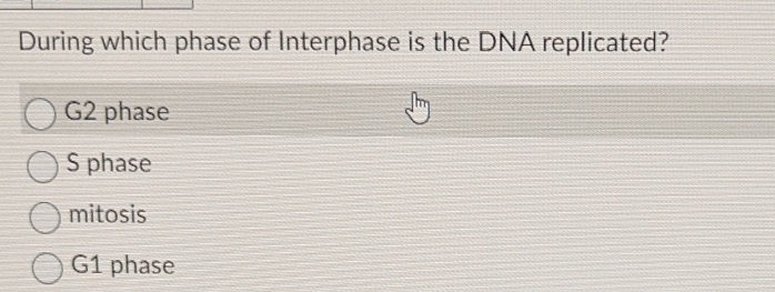 Solved During which phase of Interphase is the DNA | Chegg.com