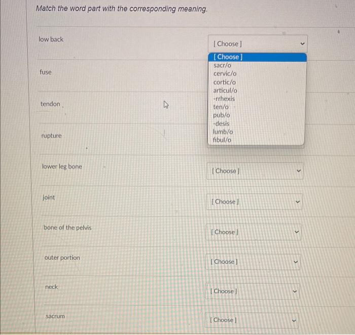 Solved Match the word part with the corresponding meaning. | Chegg.com