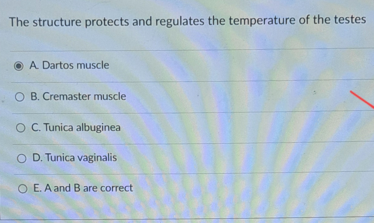 Solved The structure protects and regulates the temperature | Chegg.com