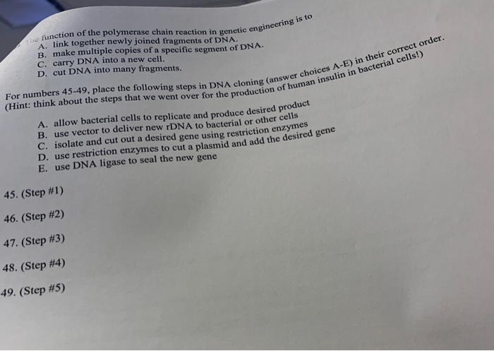 Solved etic engineering is to function of the polymerase | Chegg.com