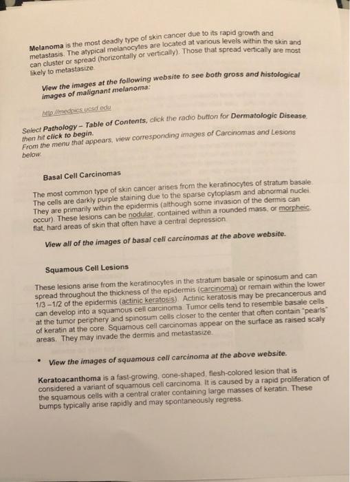 WEEK 3 --- The Integumentary System Skin Materials | Chegg.com