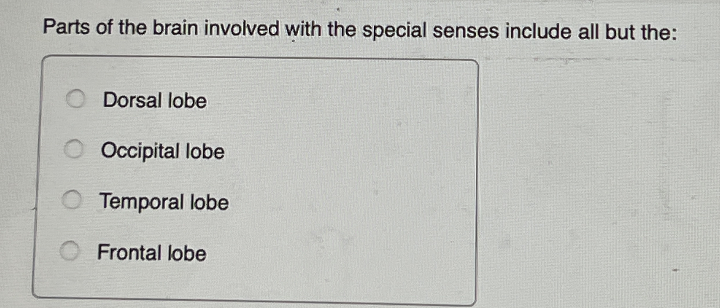 Solved Parts of the brain involved with the special senses | Chegg.com
