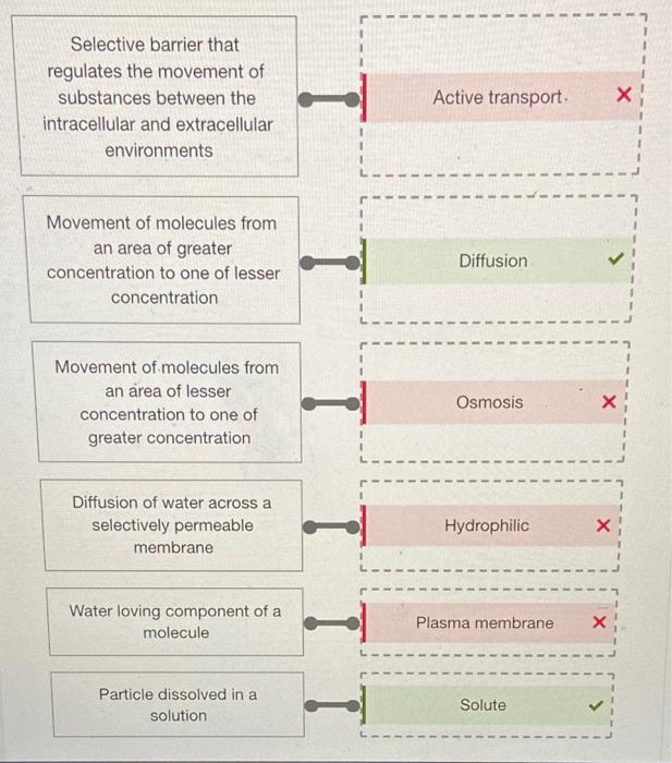 Solved Selective barrier that regulates the movement of | Chegg.com