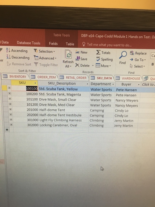 Solved Instructions: Using the DBP-e14-Cape-Codd.accdb file, | Chegg.com