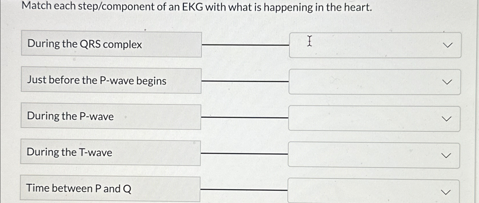 Solved Match each step/component of an EKG with what is | Chegg.com