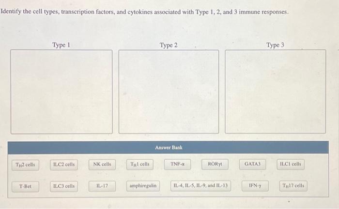Solved Identify the cell types, transcription factors, and | Chegg.com