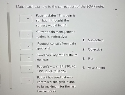 Solved Match each example to the correct part of the SOAP | Chegg.com