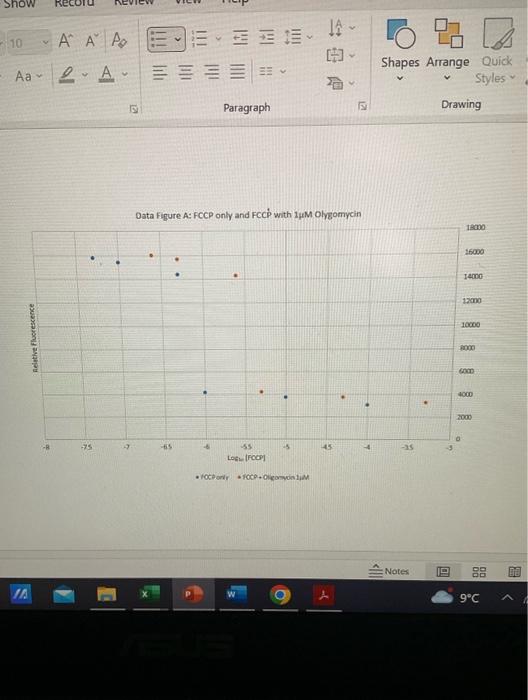 Solved Shapes Arrange Quick Styles 8) Paragraph 8 Drawing | Chegg.com
