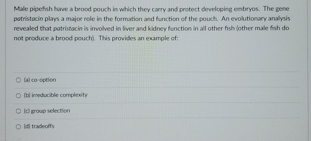 Solved Male pipefish have a brood pouch in which they carry | Chegg.com