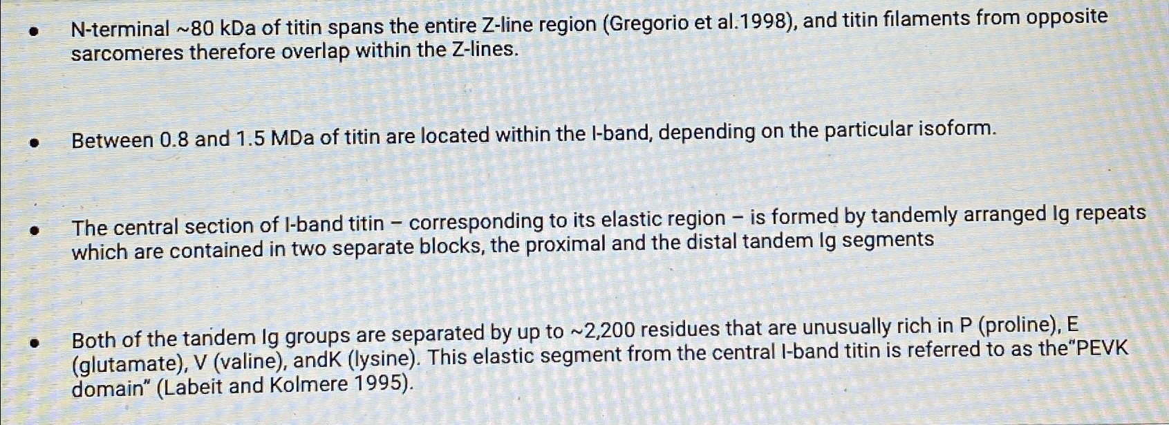 The image below shows some bullet points from a | Chegg.com