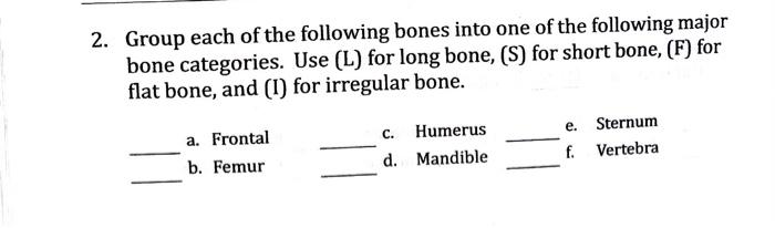 Solved 2. Group each of the following bones into one of the | Chegg.com